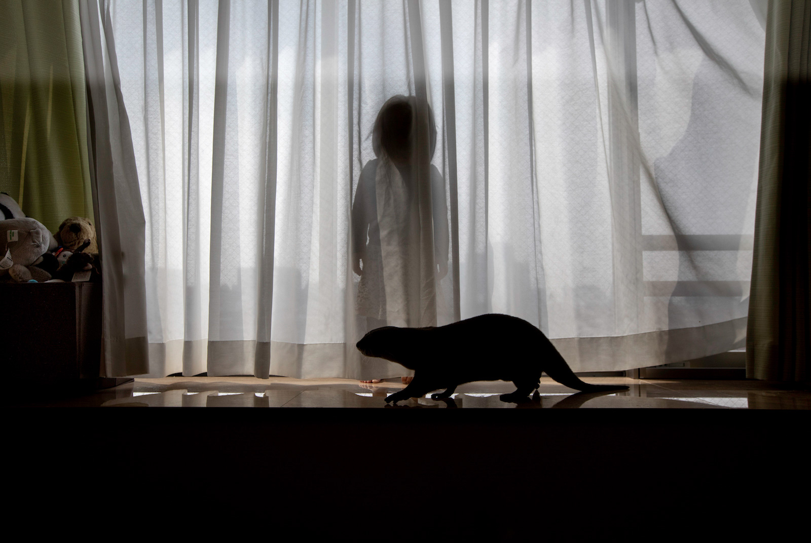 Aaron Gekoski: What It Takes to Be a Photojournalist - Nature TTL