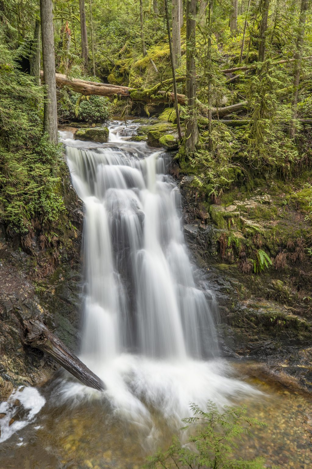 Weekly Photography Assignment: Garden Birds - Nature TTL