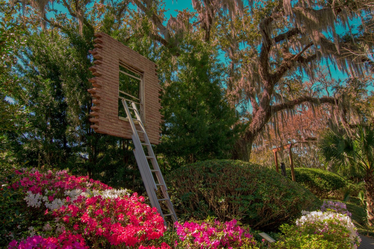Weekly Photography Assignment: Movement - Nature TTL
