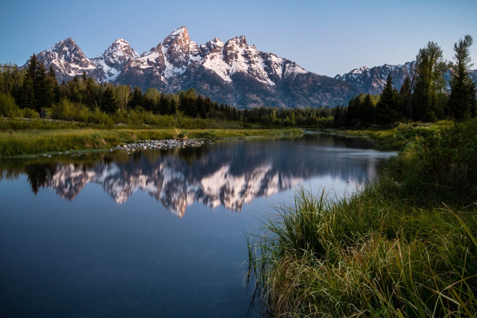 Alyce Bender: From Amateur to Professional - Nature TTL
