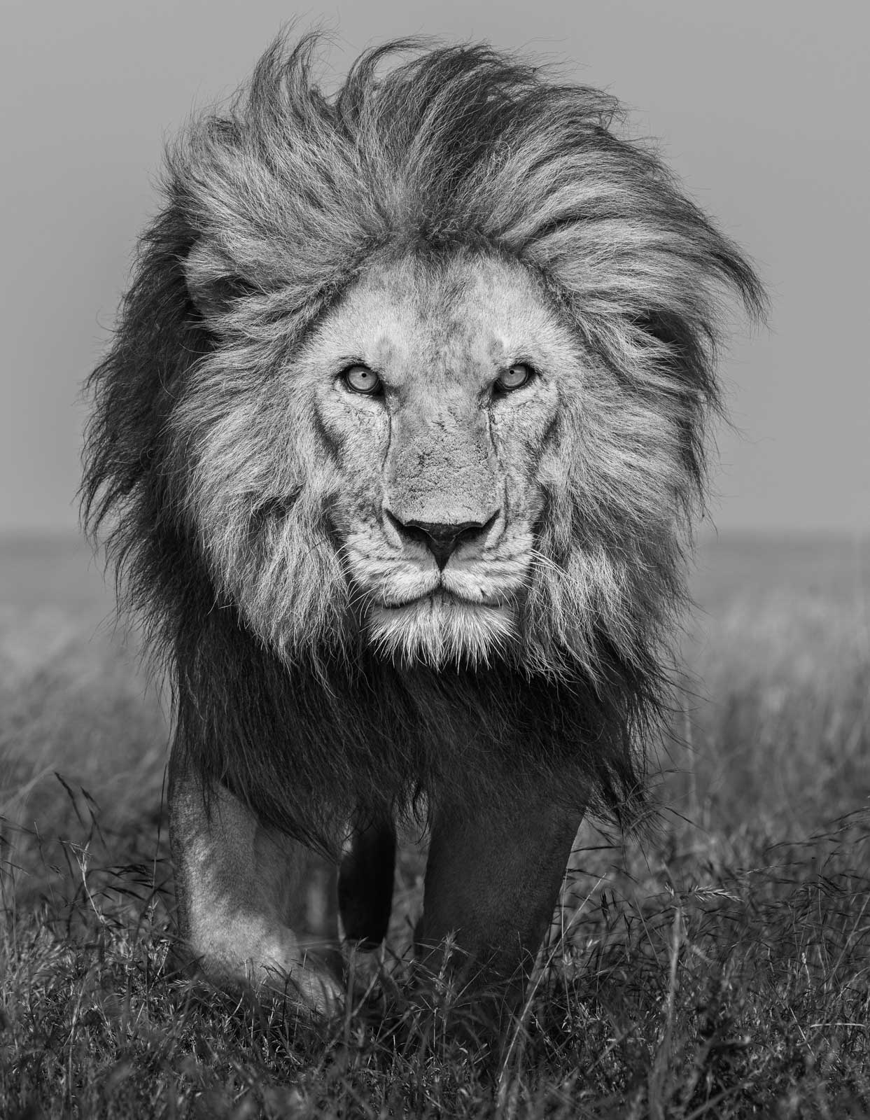 James Lewin: Expert Tips on Connecting People to Photos - Nature TTL