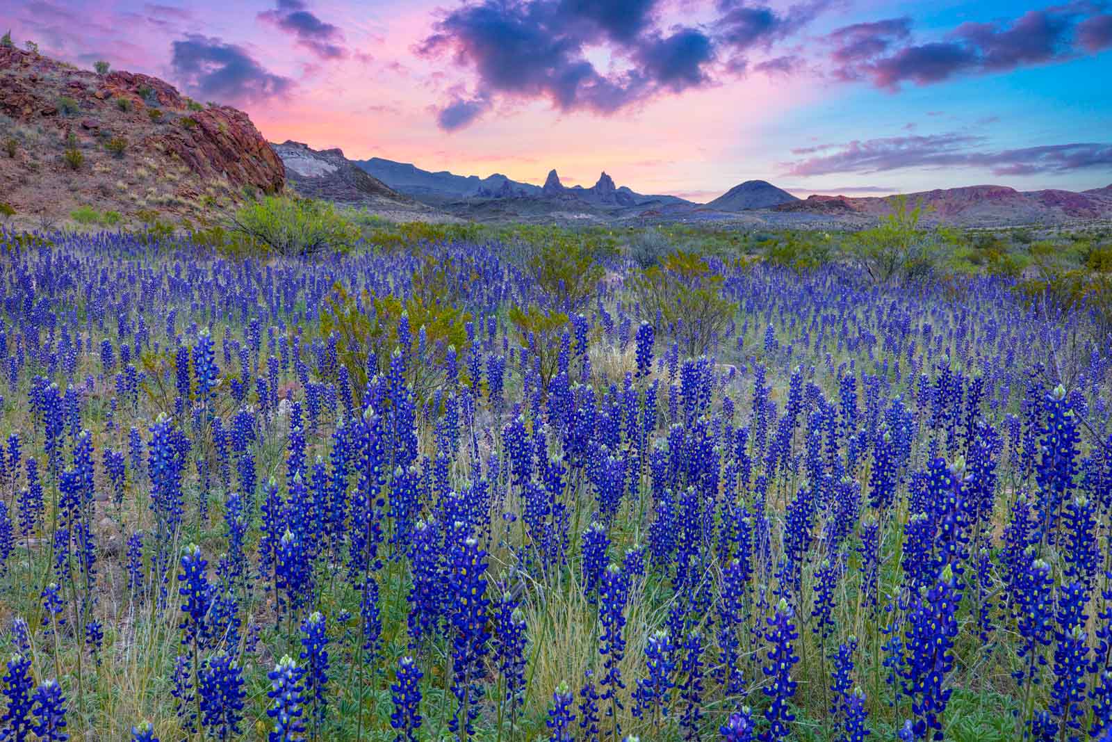 Big Bend National Park Photography Guide - Nature TTL