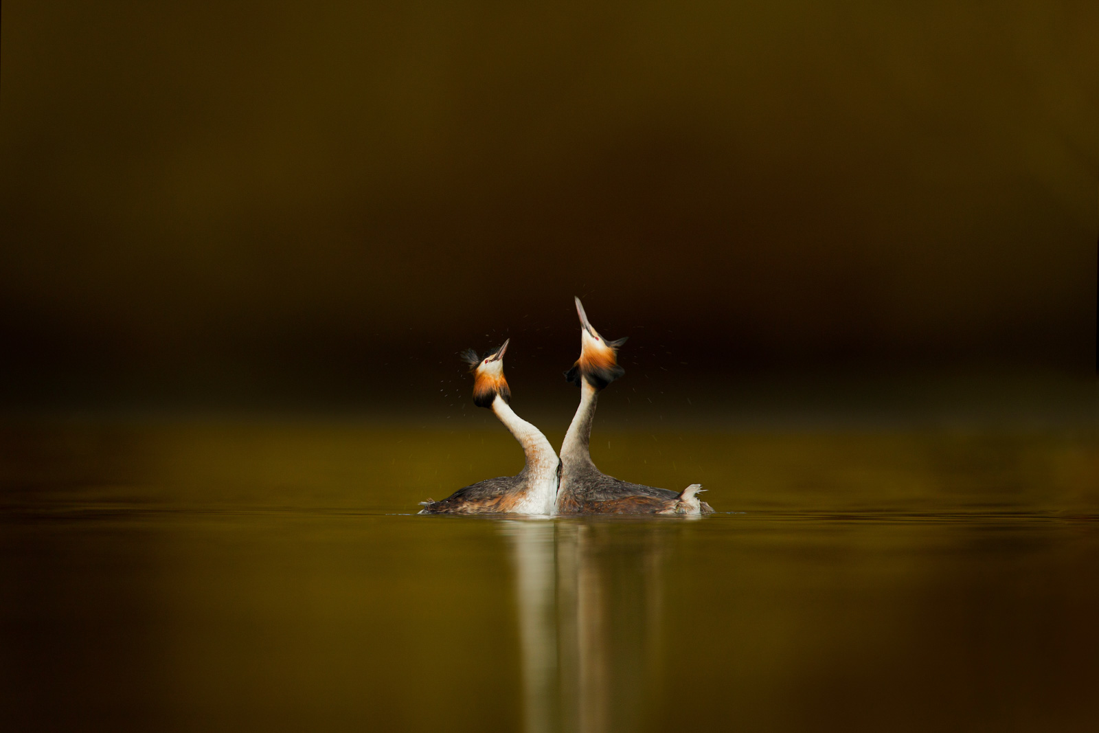 7 Tips for Starting a Photography Workshop Business - Nature TTL