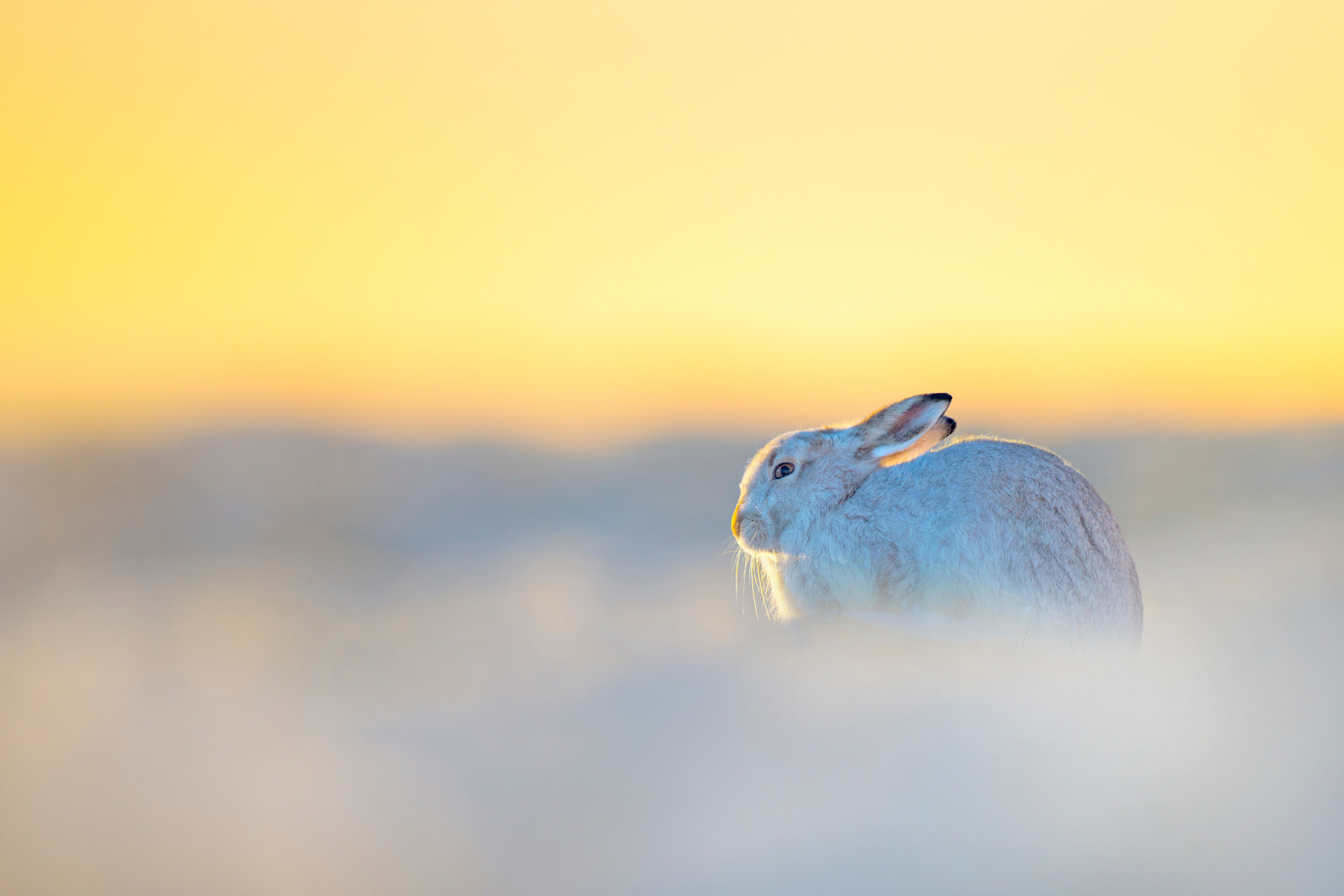 Nature Photography Tutorials - Nature TTL