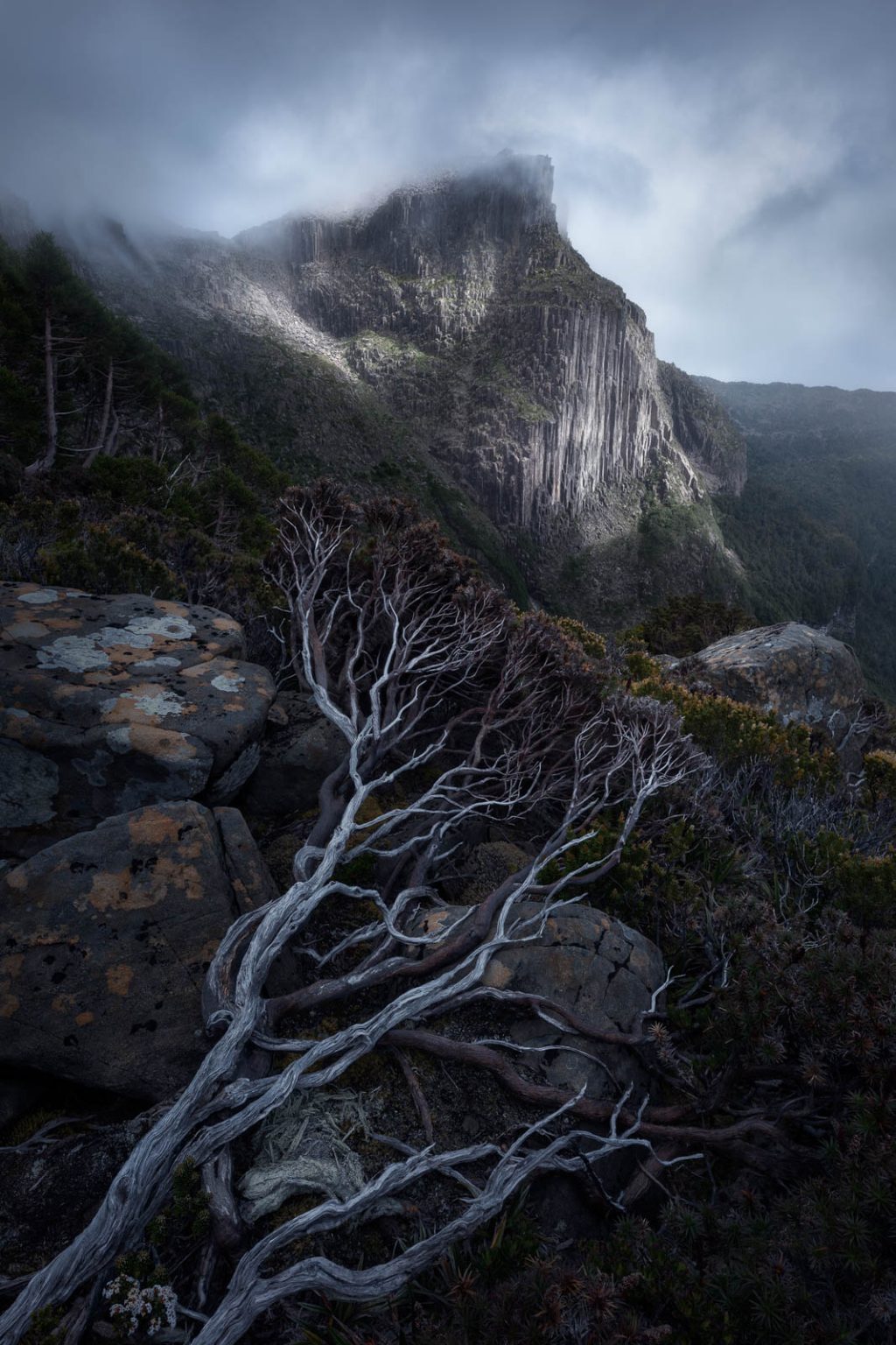 How to Use Focus Stacking for Landscape Photography - Nature TTL