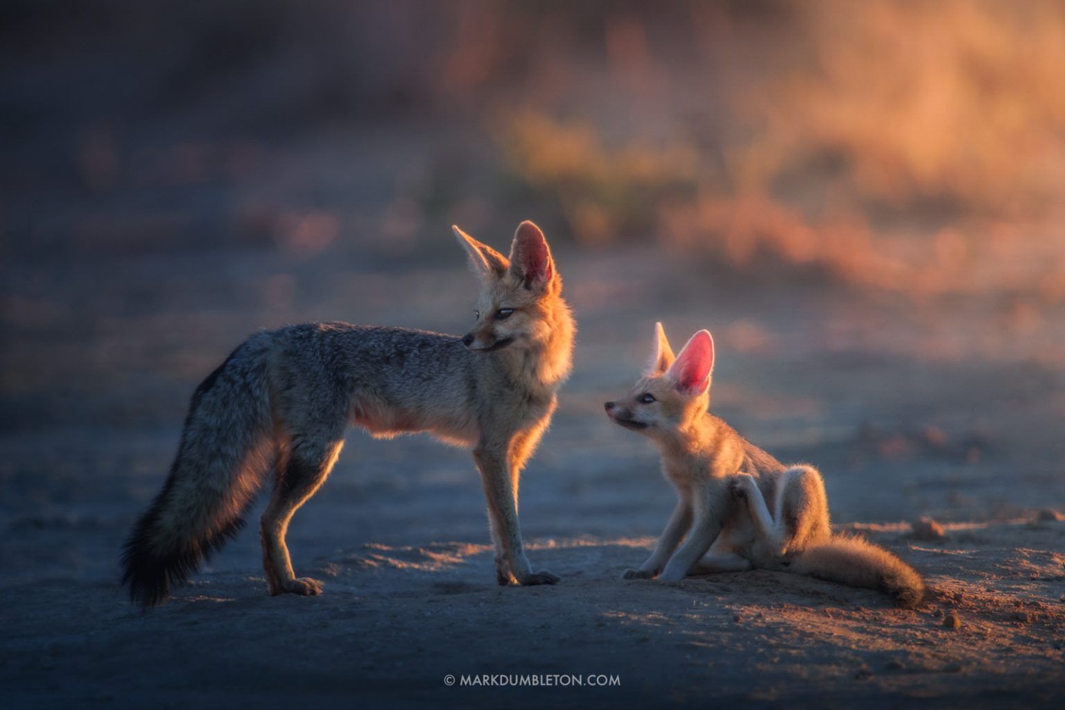 8 Top Locations in Southern Africa for Nature Photography - Nature TTL