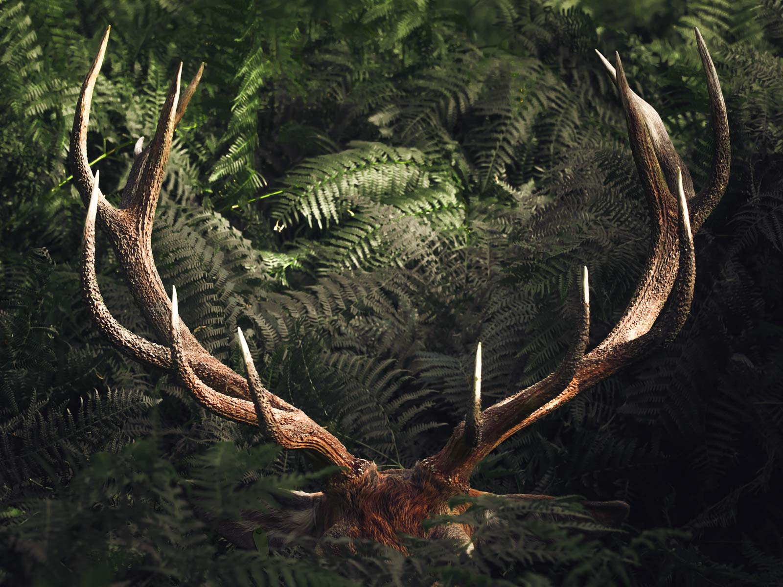 Charlie Page: The Secret to Taking Stand-Out Photos - Nature TTL