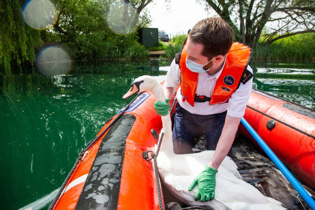 Award-Winning Photographs Capture Intimate Moments in Wildlife Rescue ...