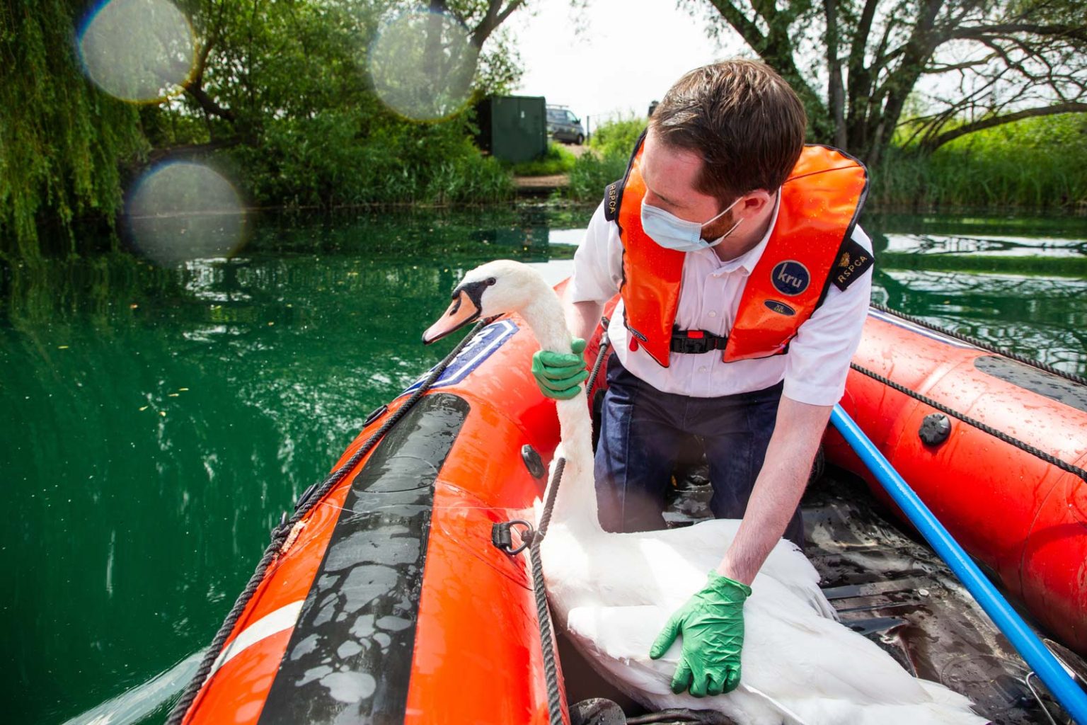Award-Winning Photographs Capture Intimate Moments in Wildlife Rescue ...