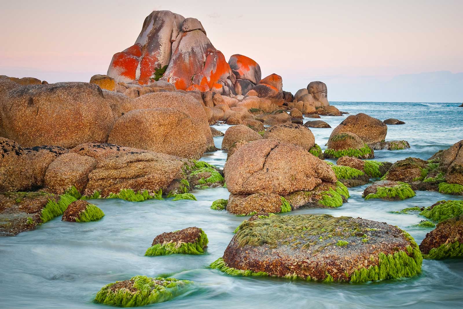 Nature Photography Guide to Tasmania - Nature TTL