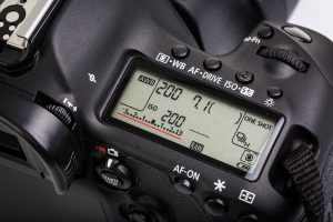Exposure Compensation: The Complete Beginner's Guide - Nature TTL