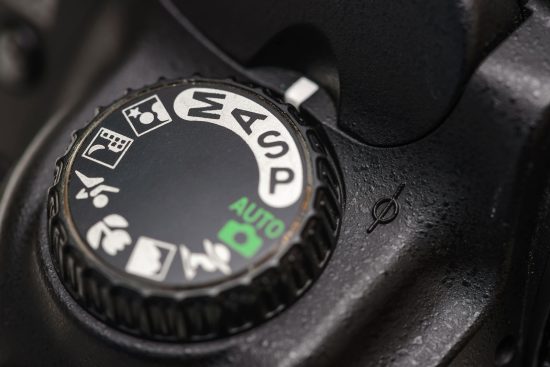 Exposure Compensation: The Complete Beginner's Guide - Nature TTL