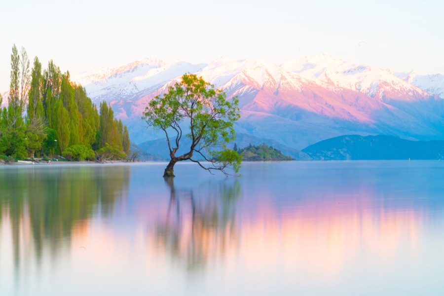 How to Take a Long Exposure Photo on iPhone - Nature TTL