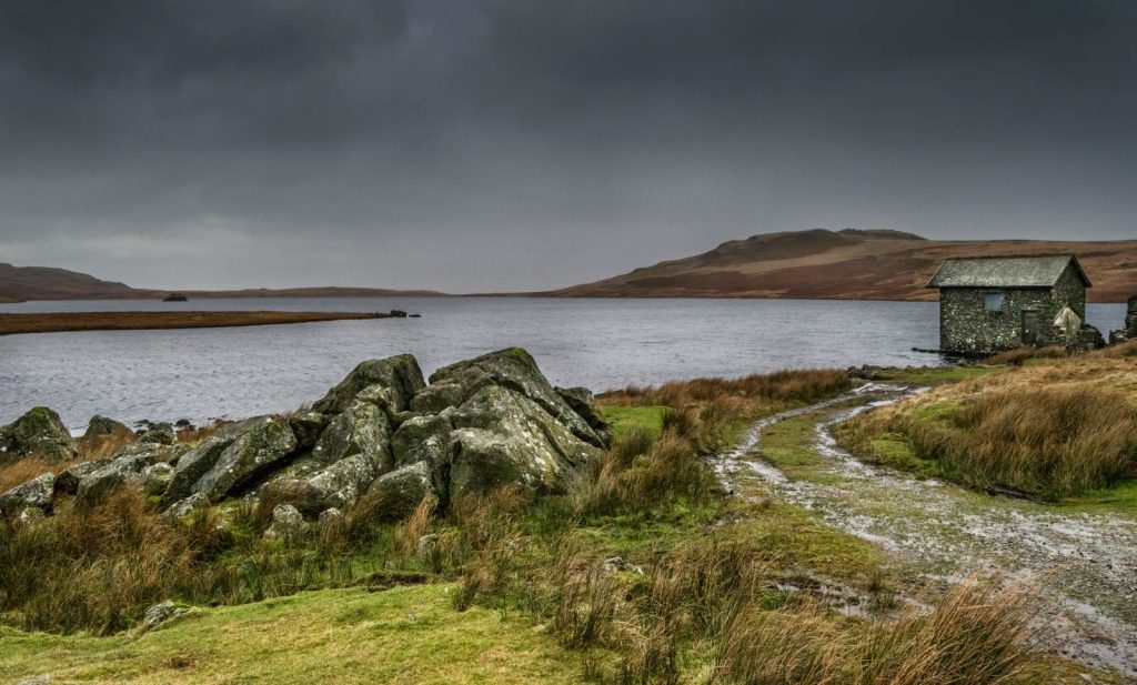 Stuart McGlennon: From Amateur to Professional - Nature TTL
