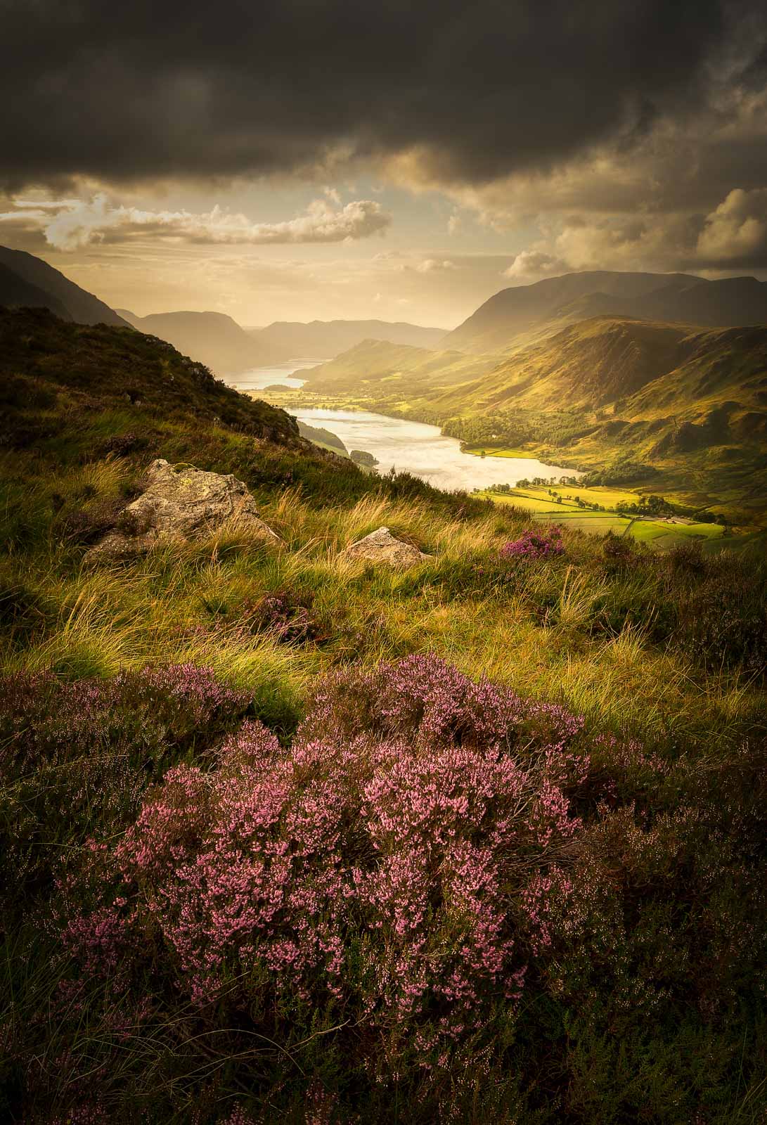 Stuart McGlennon: From Amateur to Professional - Nature TTL
