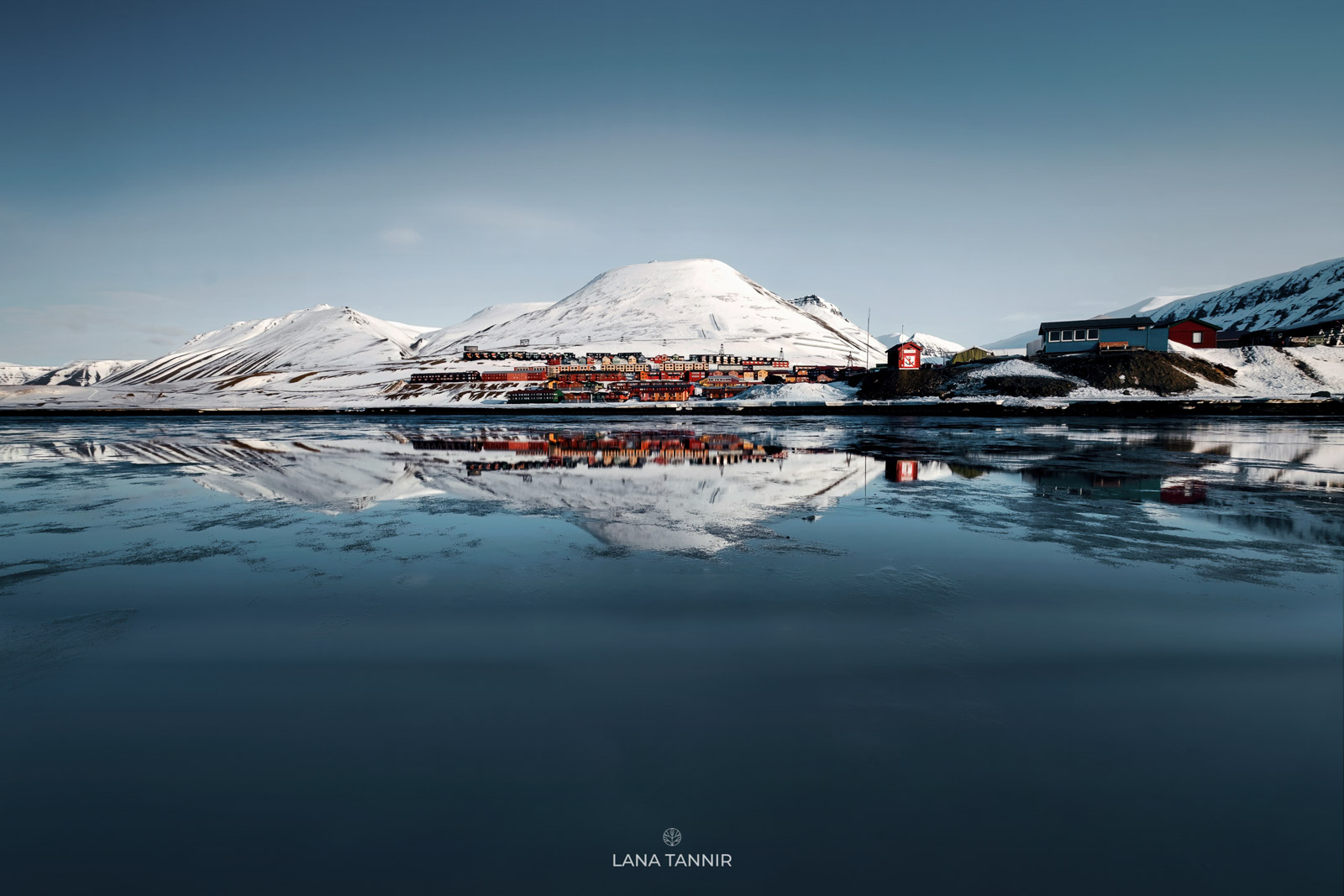 The B-Listers of Svalbard: Photographing the Underdog - Nature TTL