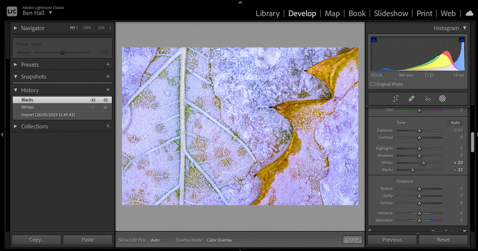 Editing Photos in Lightroom: 7 Essential Tips for Nature Photographers ...