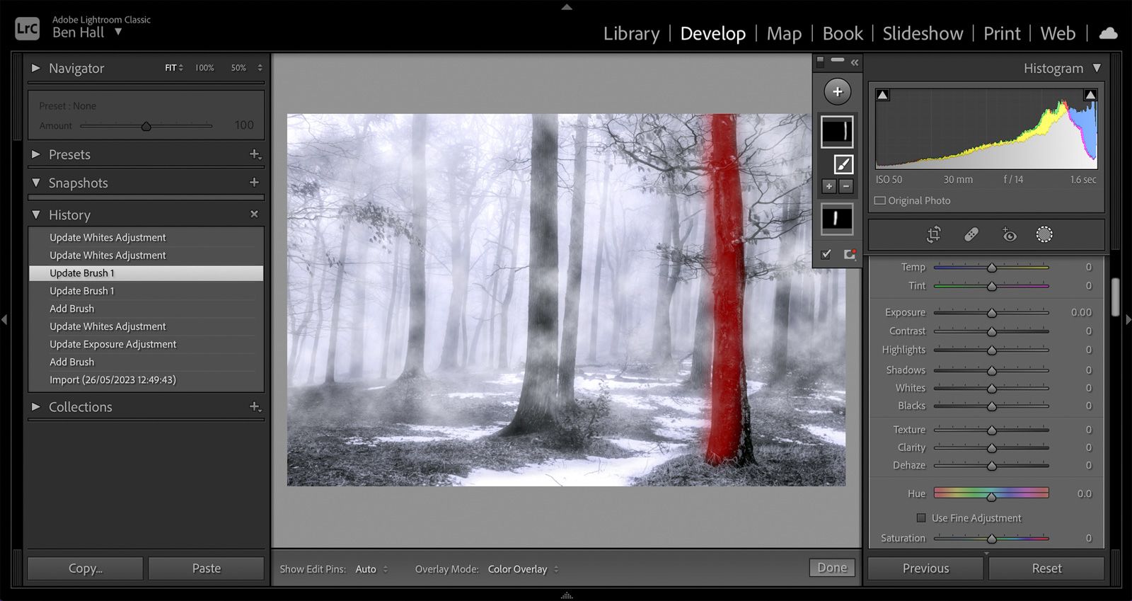 Editing Photos in Lightroom: 7 Essential Tips for Nature Photographers ...