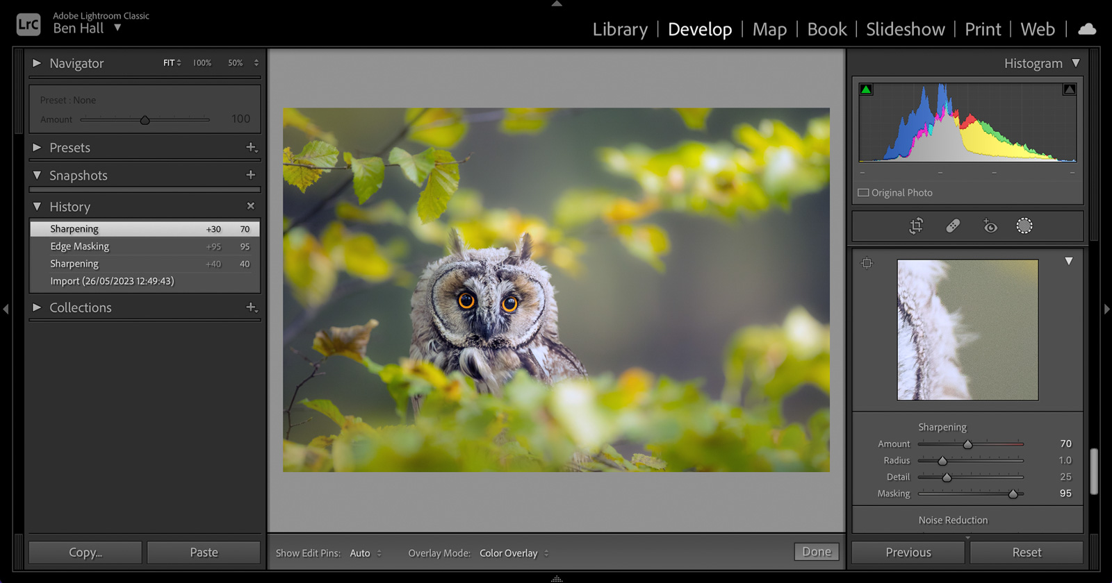 Editing Photos in Lightroom: 7 Essential Tips for Nature Photographers ...