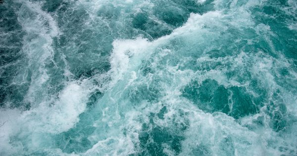 Weekly Photography Assignment: Water - Nature TTL