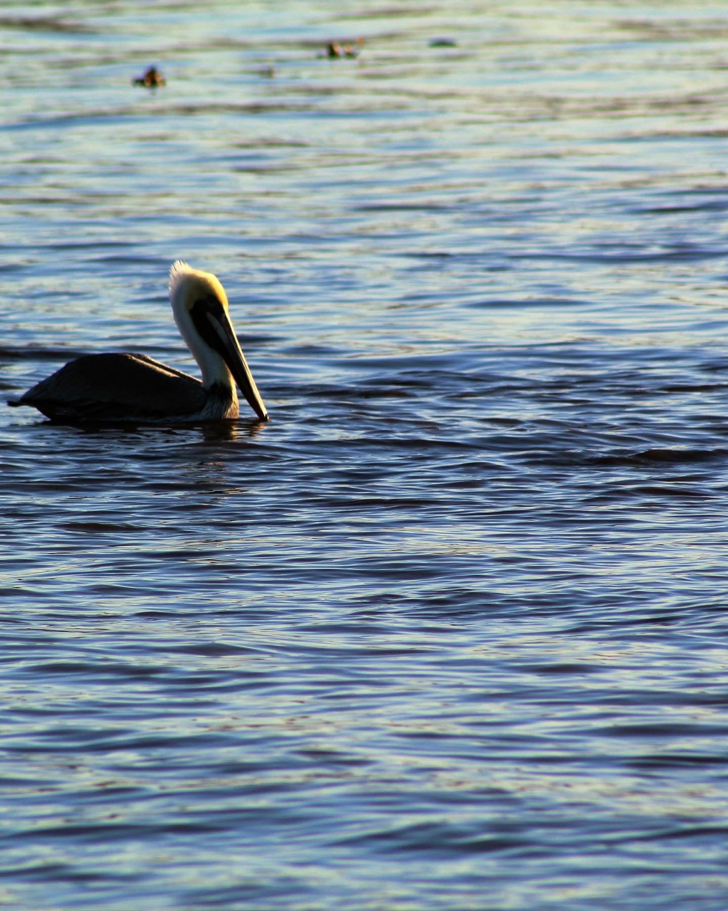 Weekly Photography Assignment: Trees - Nature TTL