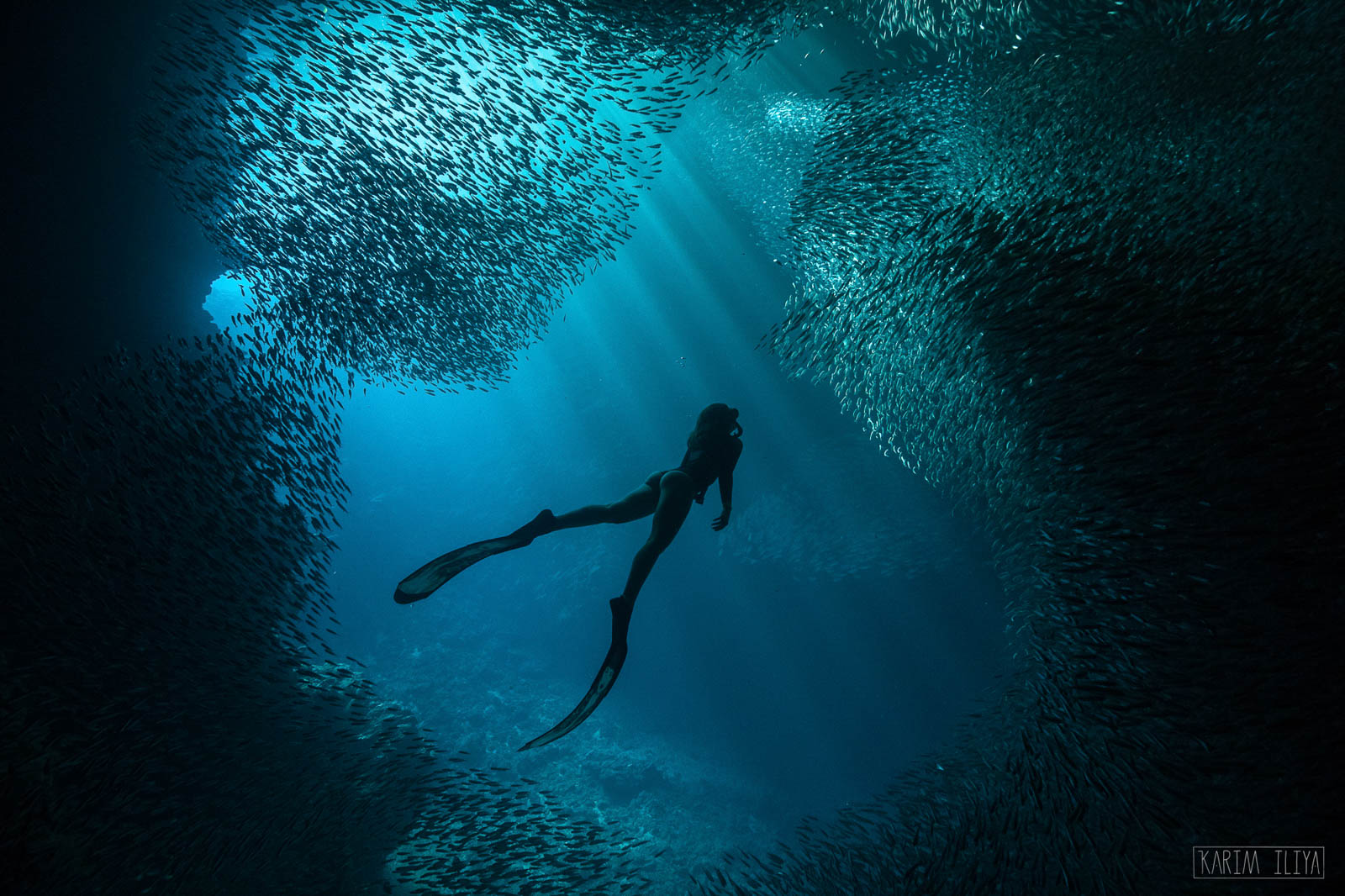 Karim Iliya: From Underwater Wonders to the Moon - Nature TTL