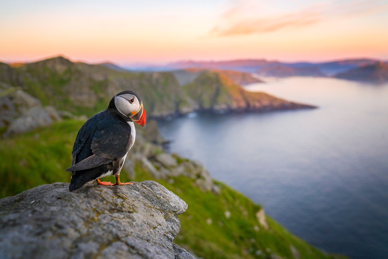 Levi Fitze: Unveiling the Artistry of a Rising Photographer - Nature TTL