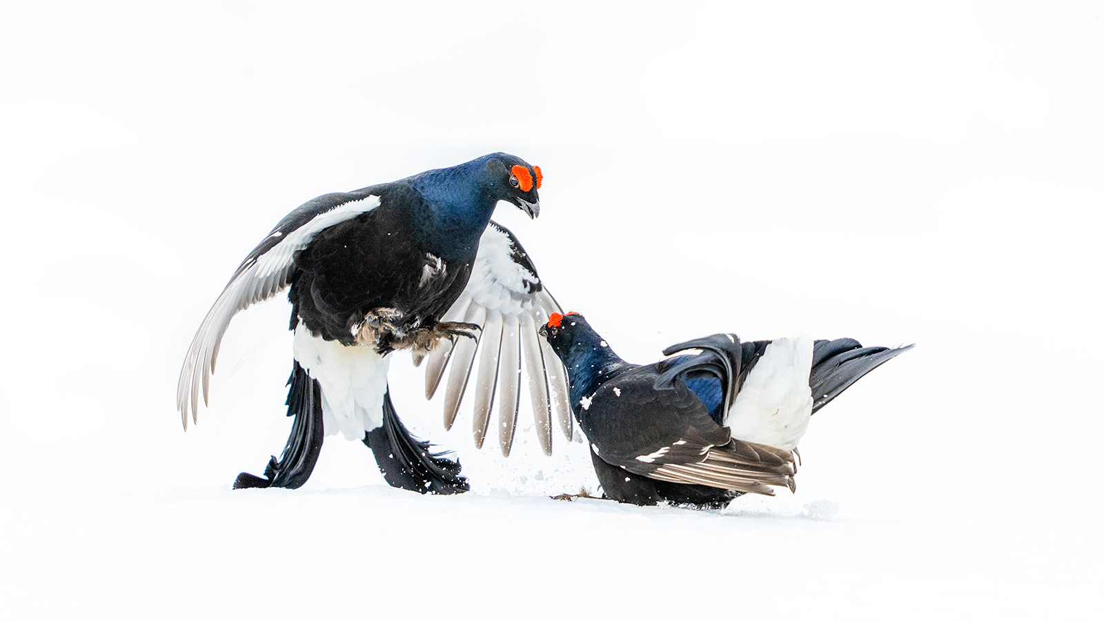 Levi Fitze: Unveiling the Artistry of a Rising Photographer - Nature TTL