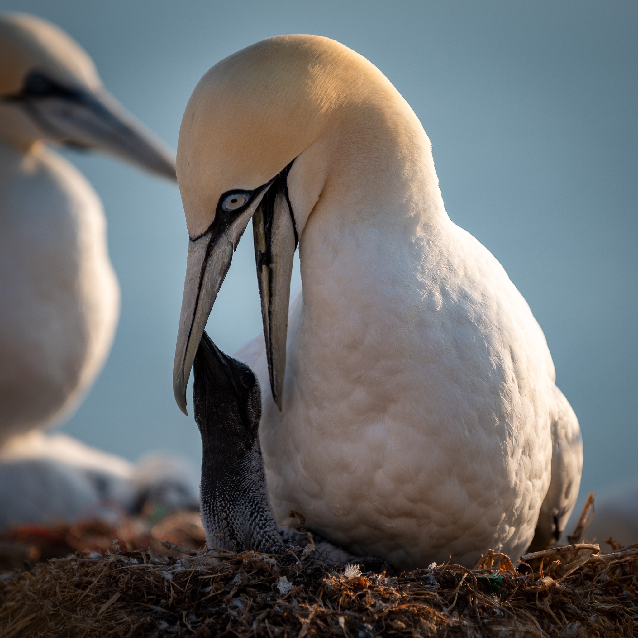 Weekly Photography Assignment: Summer Nature - Nature TTL