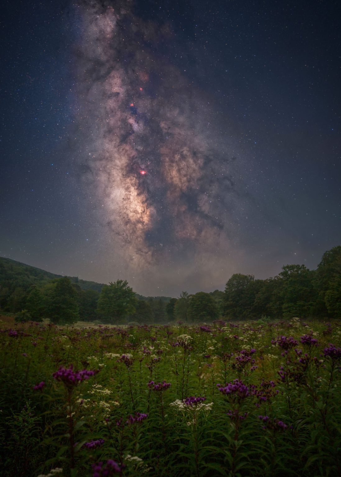 Rare New Supernova Caught on Camera - Nature TTL