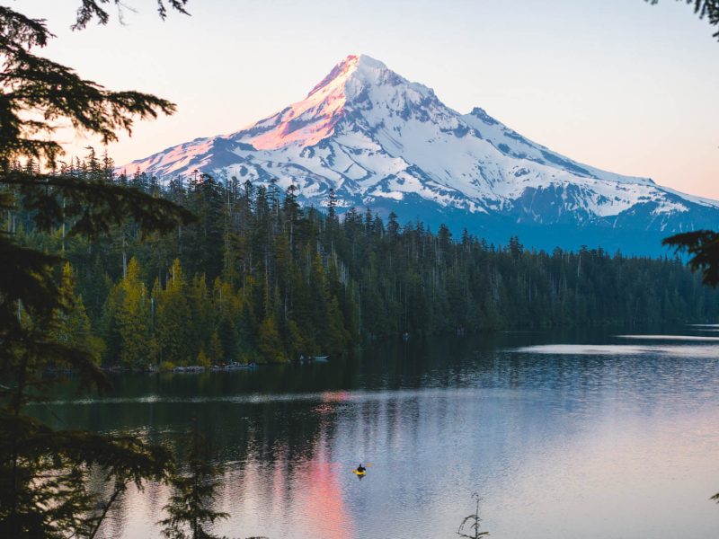 The Ultimate Guide to Wildlife Photography on a Budget - Nature TTL