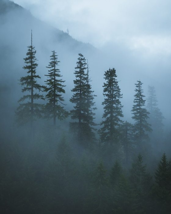 Pacific Northwest Photography: 8 Best Landscape Locations for ...