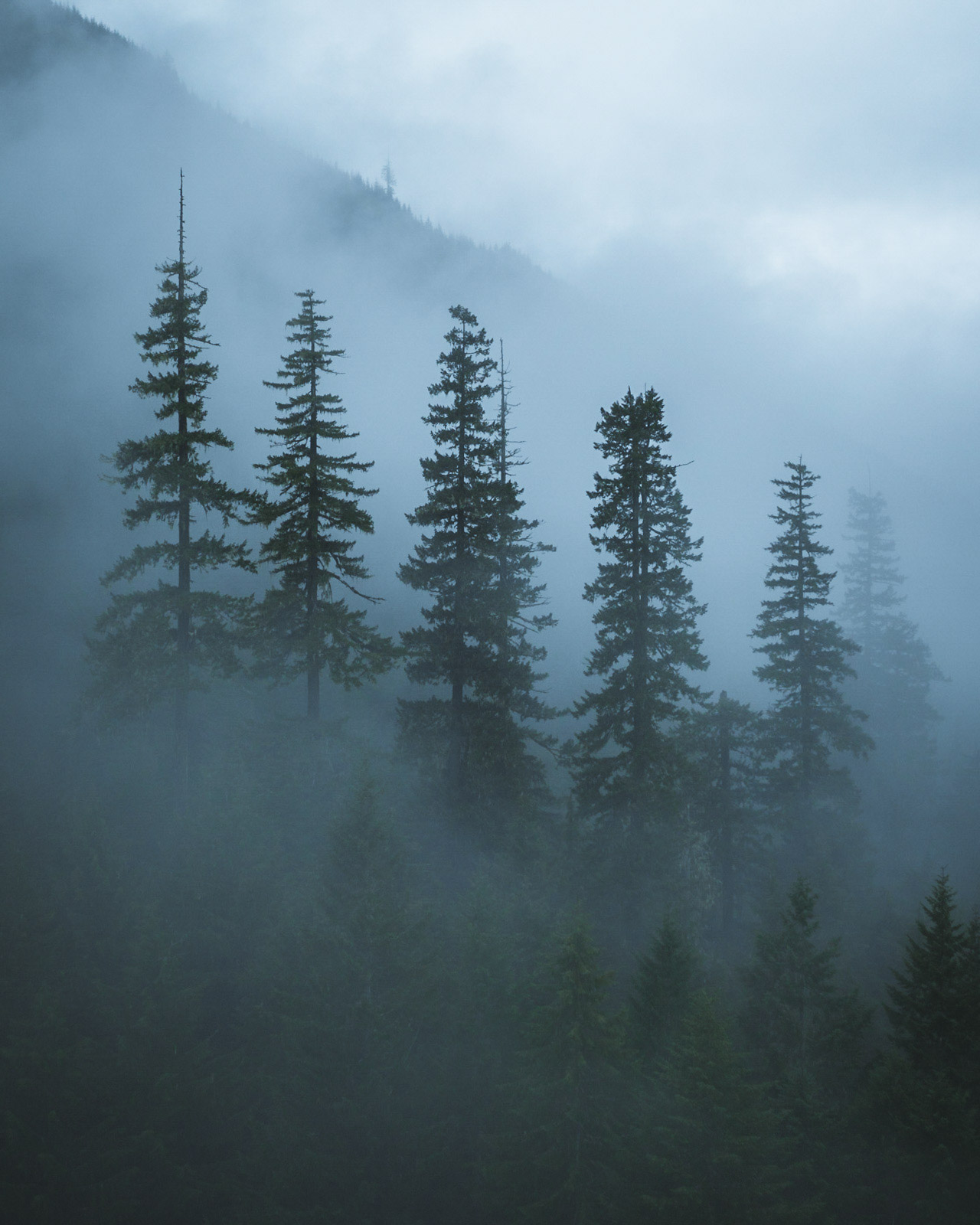 Pacific Northwest Photography: 8 Best Landscape Locations for ...