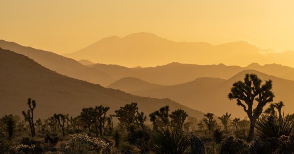 How to Manage Lighting in Desert Photography - Nature TTL