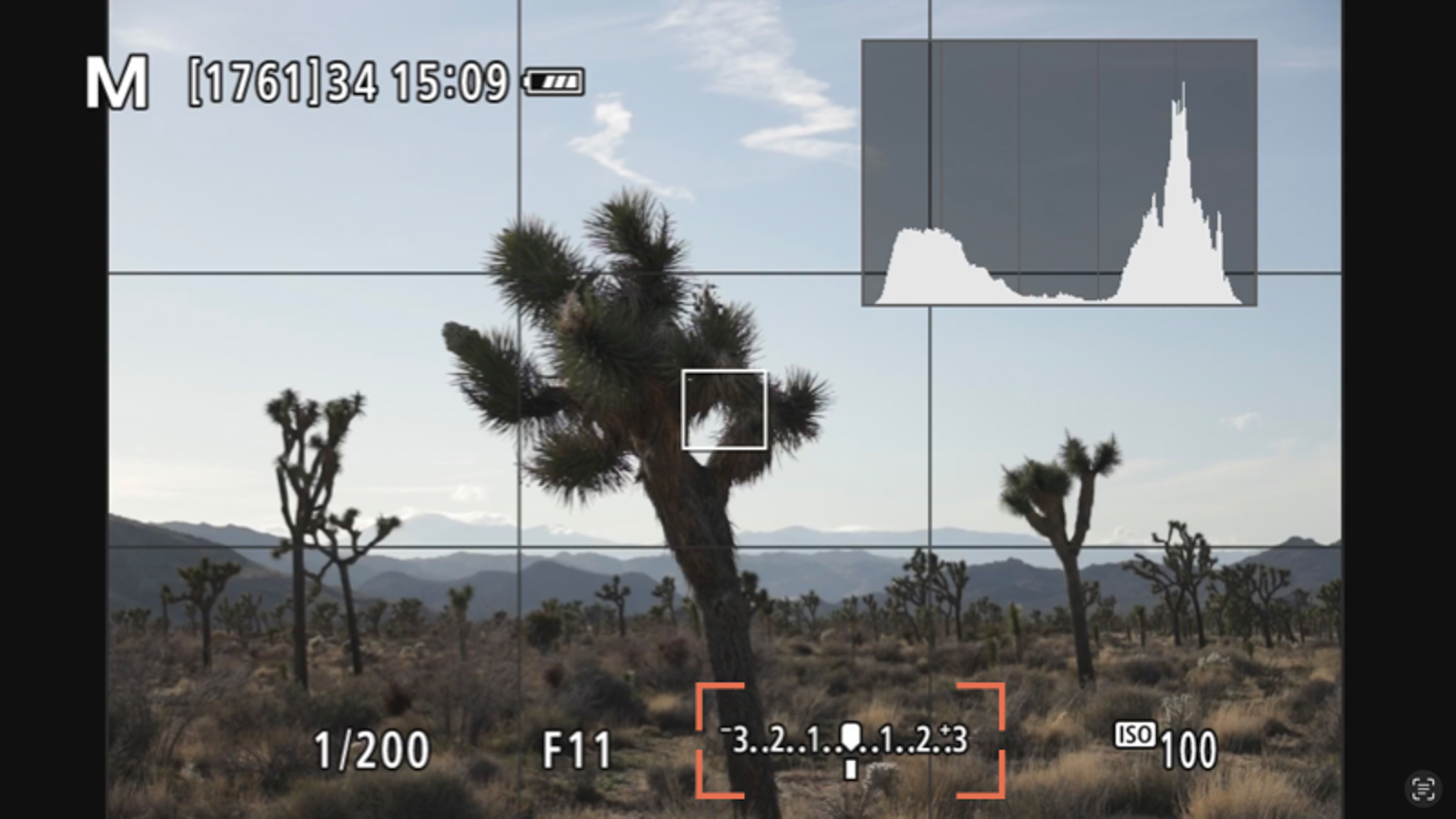 How to Manage Lighting in Desert Photography - Nature TTL