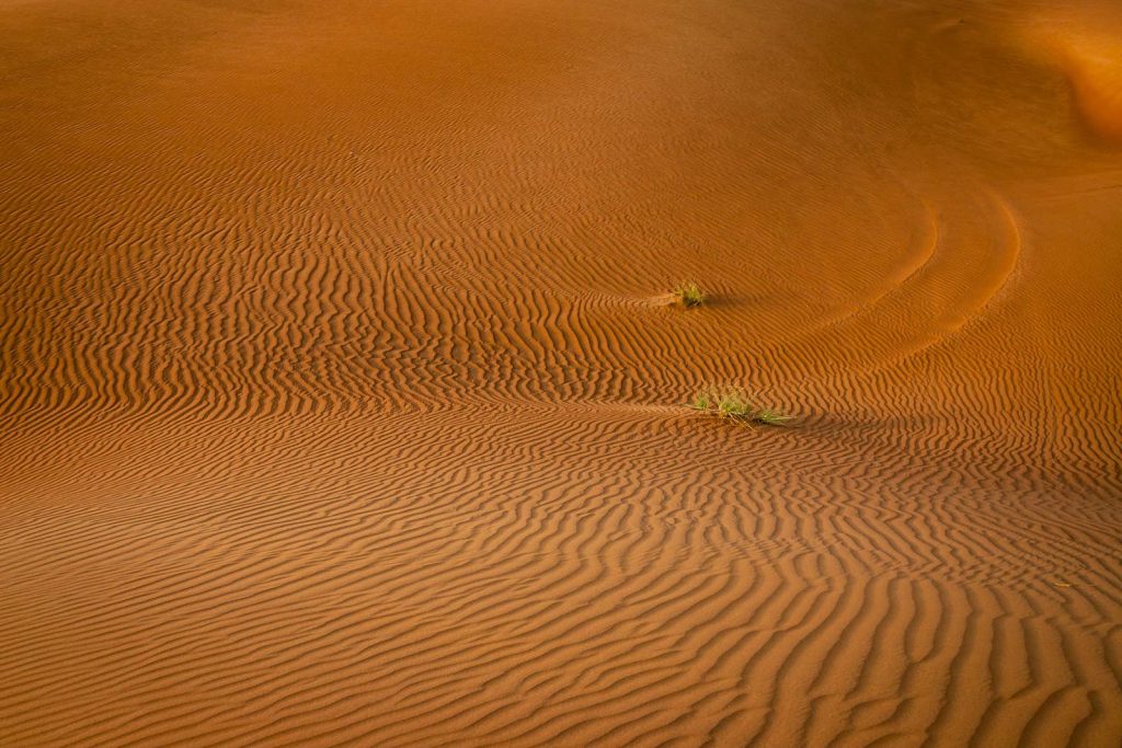 How to Manage Lighting in Desert Photography - Nature TTL