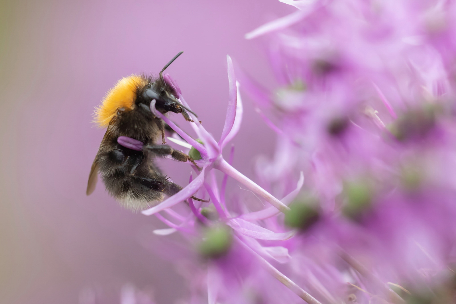 10 Nature Photography Projects to Take on This Year - Nature TTL
