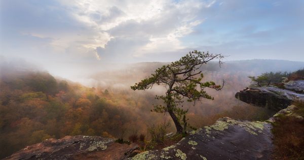 7 Best Places for Photography in Alabama - Nature TTL