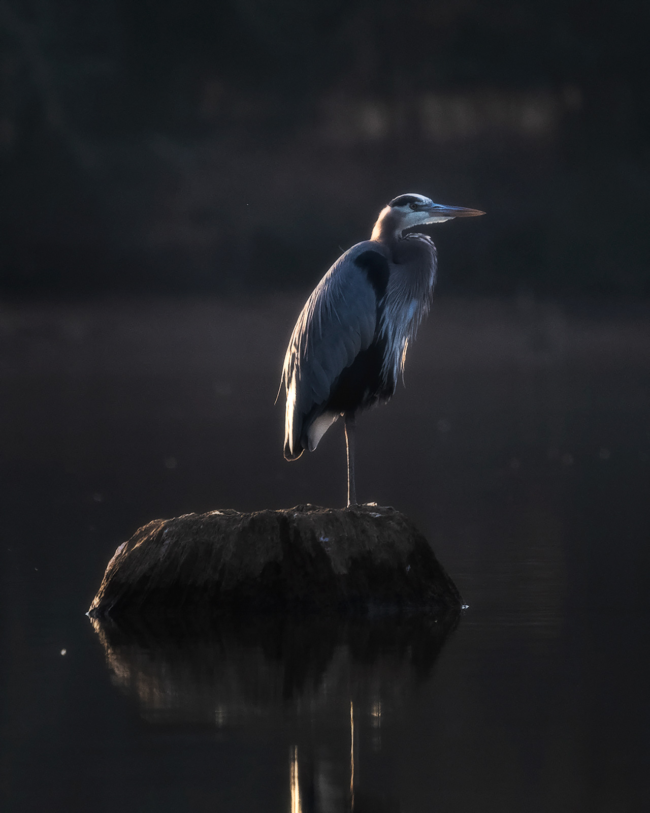 7 Best Places for Photography in Alabama - Nature TTL