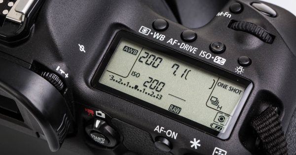 10 Essential Tips for Buying Second-Hand Cameras - Nature TTL