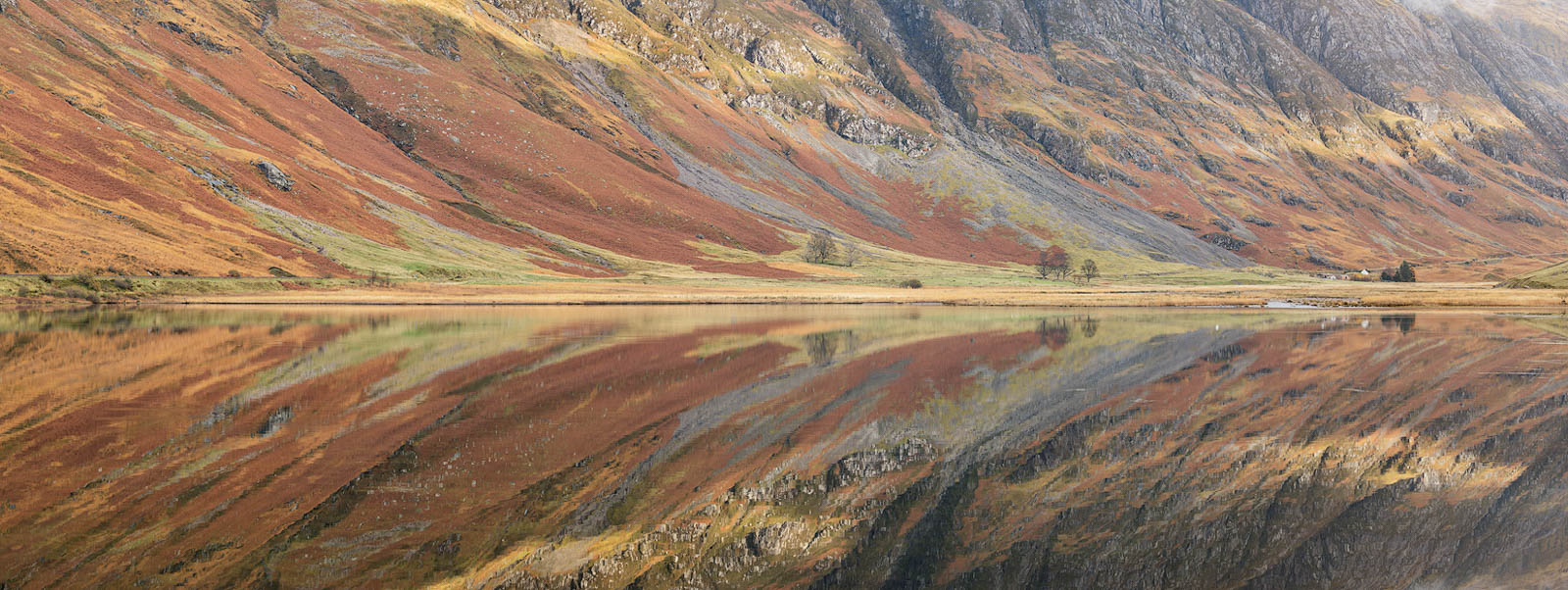 10 Best Canon Lenses for Landscape Photography in 2024 - Nature TTL