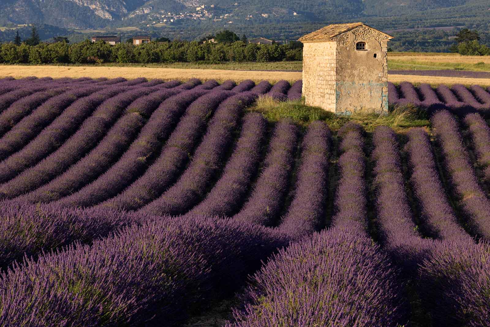 10 Best Canon Lenses for Landscape Photography in 2024 - Nature TTL