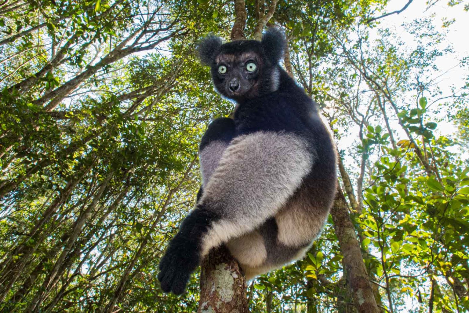 How to Plan a Photography Trip to Madagascar - Nature TTL