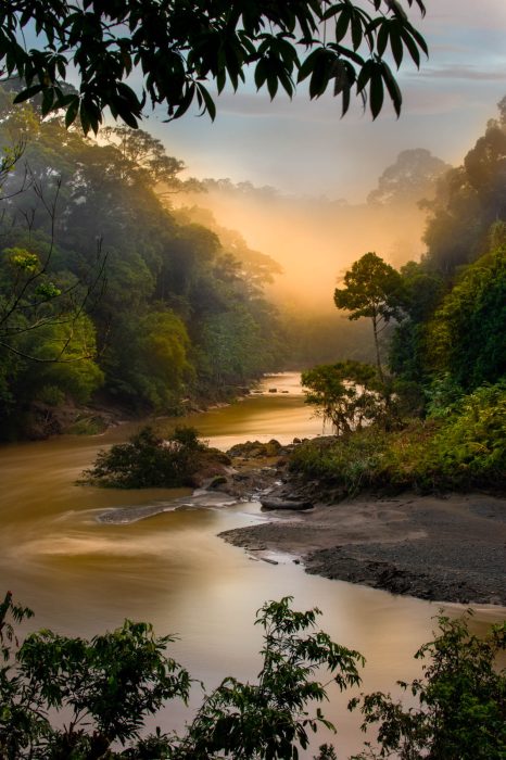 Rainforest Photography: A Guide to Lighting - Nature TTL