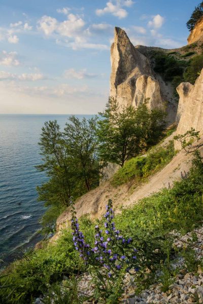 7 Best Places for Wildlife Photography in Denmark - Nature TTL