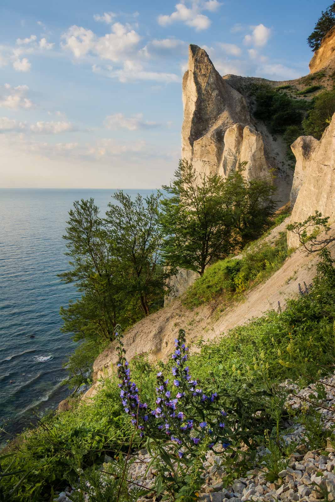 7 Best Places for Wildlife Photography in Denmark - Nature TTL