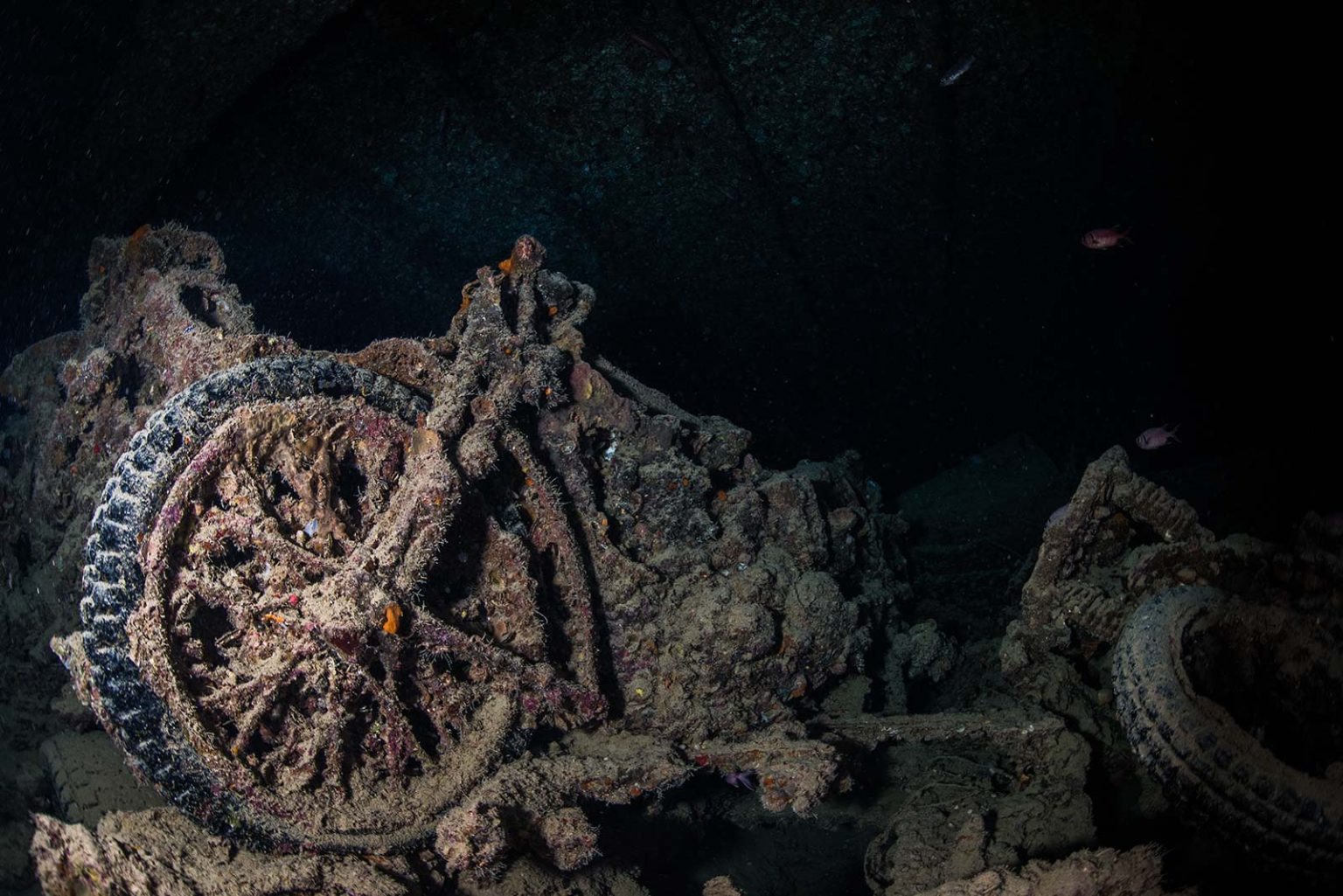 Underwater Photography: How to Photograph Wrecks - Nature TTL