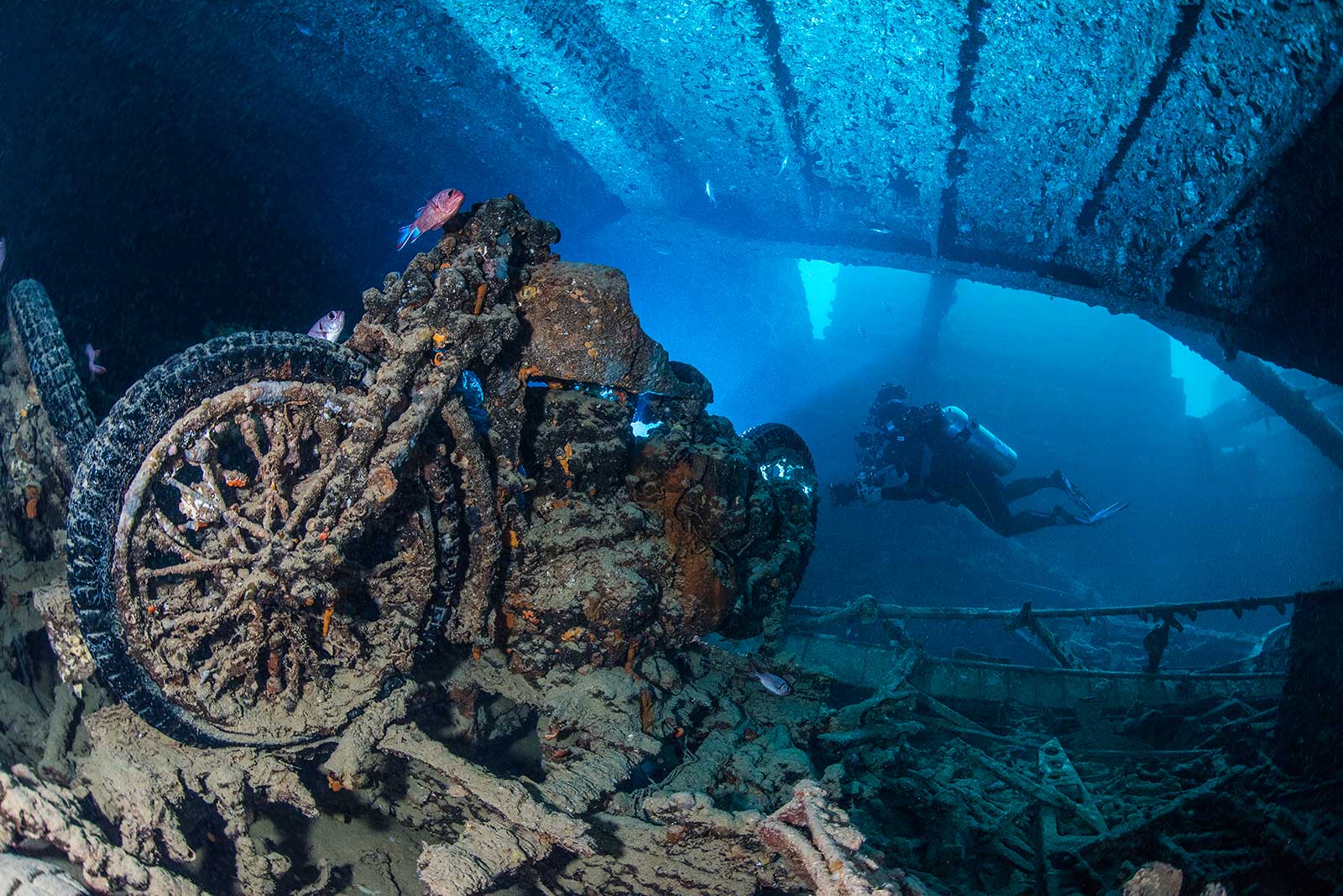 Underwater Photography: How to Photograph Wrecks - Nature TTL