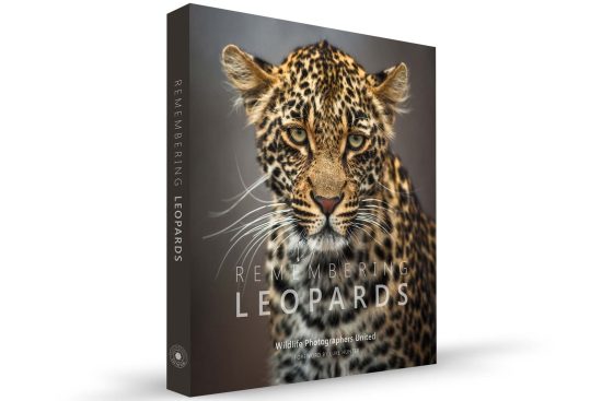 Remembering Leopards: Book Paves the Way to Protecting an Iconic ...