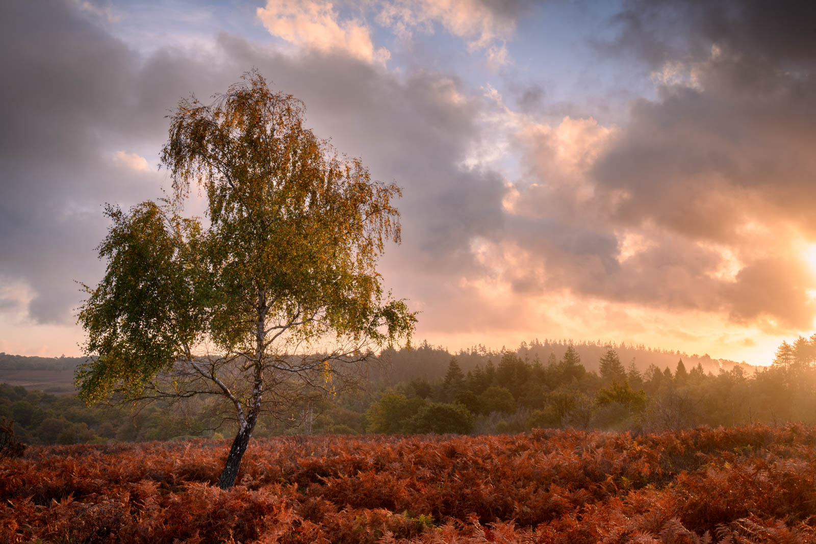 8 Best Places for Autumn Landscape Photography in the UK - Nature TTL